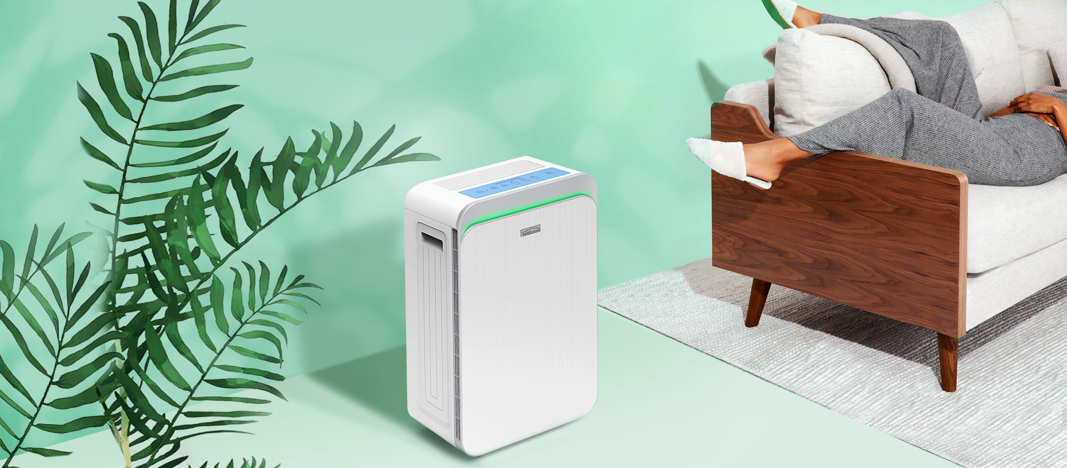 Introduction to Air Purifier – Healthomse